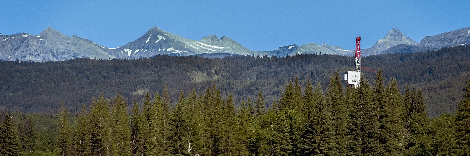 Wellbore Integrity Solutions- Leadership