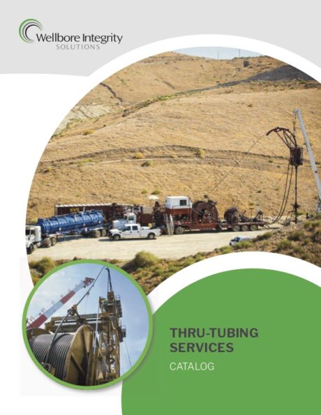 Well Intervention Services - Wellbore Integrity Solutions - WIS