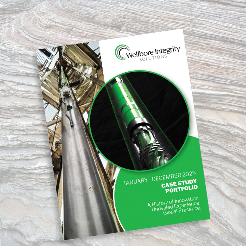 Well Integrity for the Life of the Well - Wellbore Integrity Solutions
